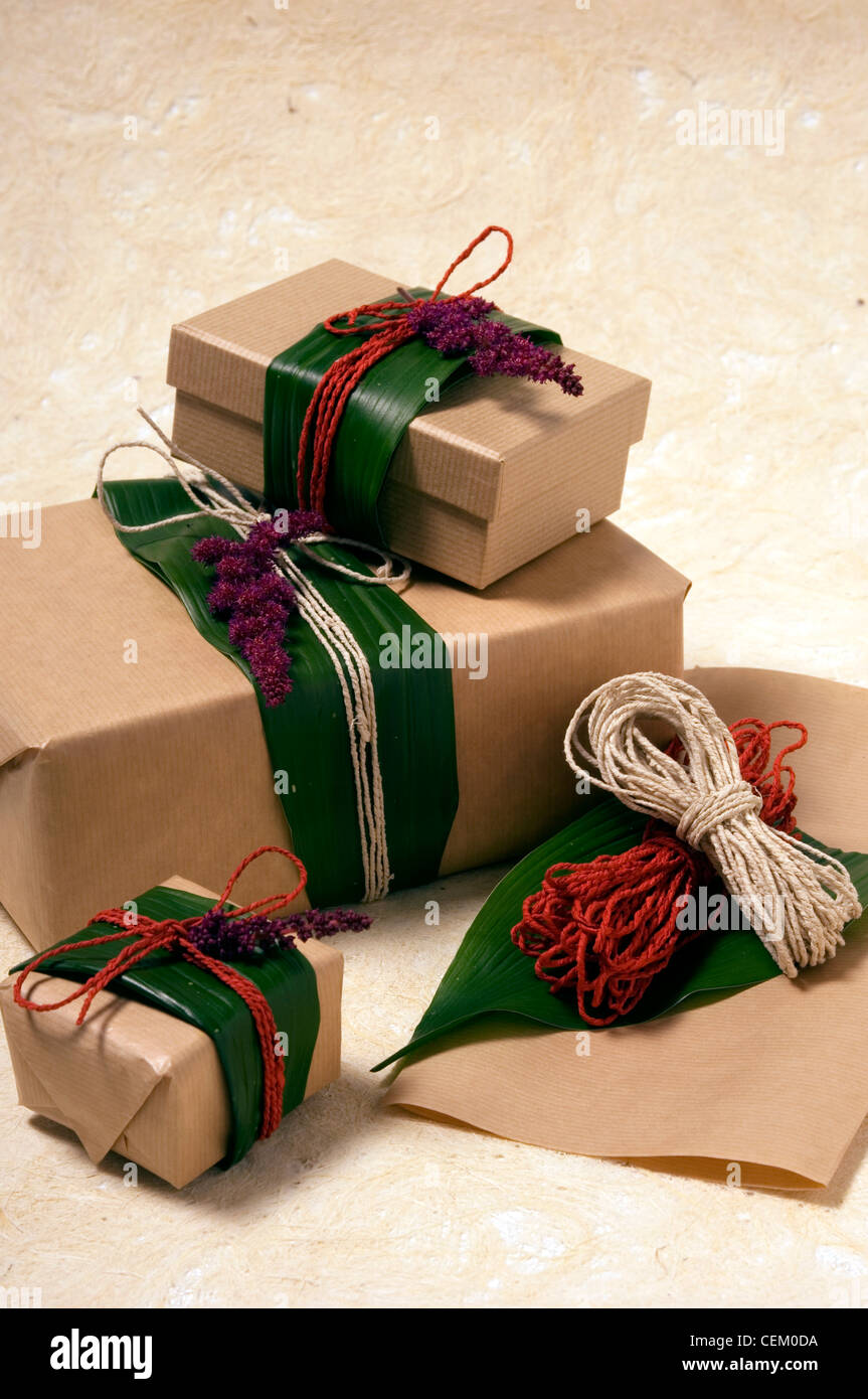 A still life of presents wrapped in brown paper, an Aspidistra leaf ...