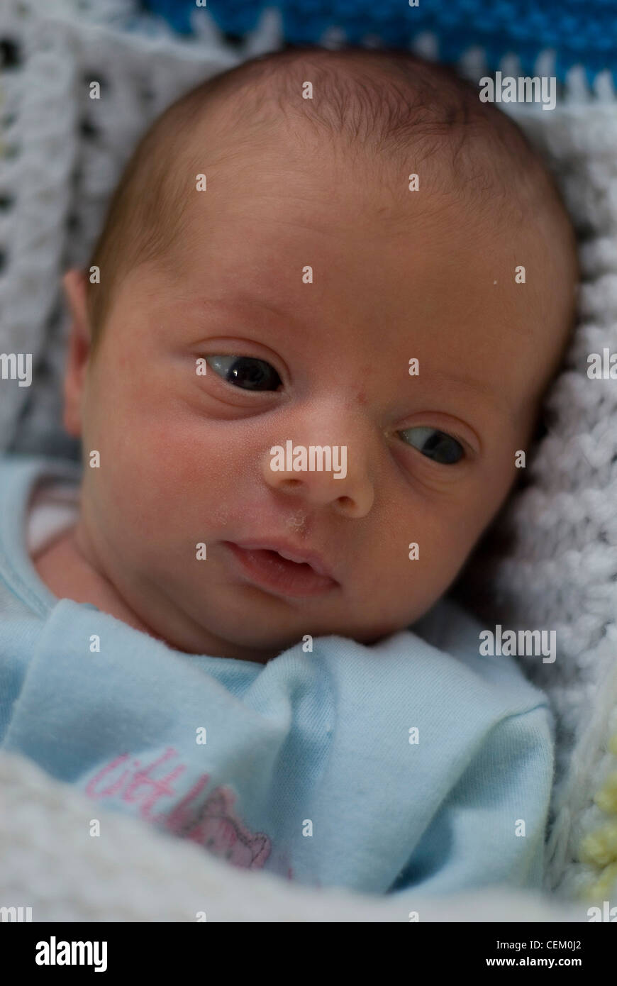A newborn female baby dressed in a blue babygrow looking to the right ...