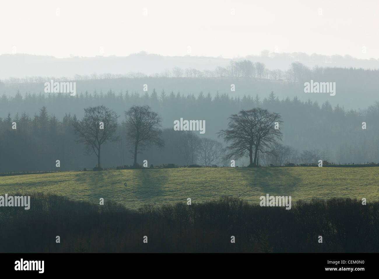 The Quantock Hills. Somerset. England. UK Stock Photo - Alamy