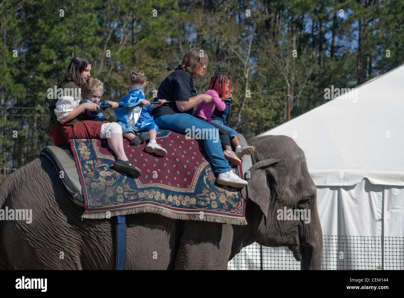 People riding elephant at annual Hoggetowne Medieval Faire, Gainesville ...