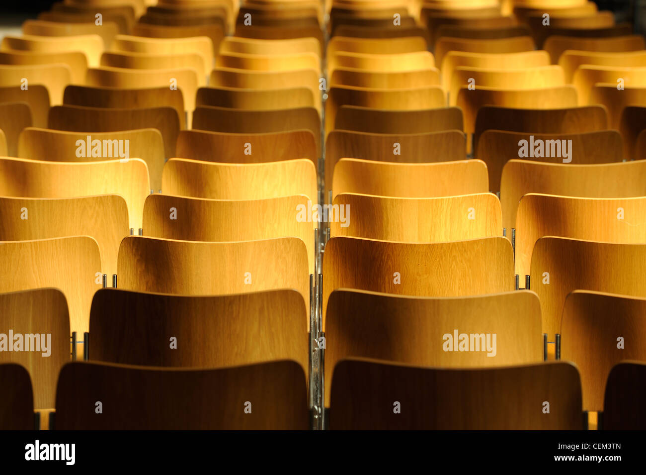 Rows of seats inside Salisbury Cathedral, Wiltshire, UK Stock Photo - Alamy