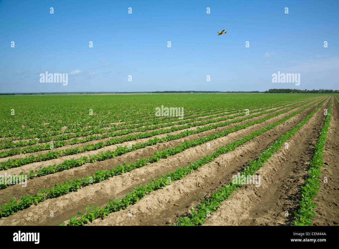 Furrow irrigation hi-res stock photography and images - Alamy