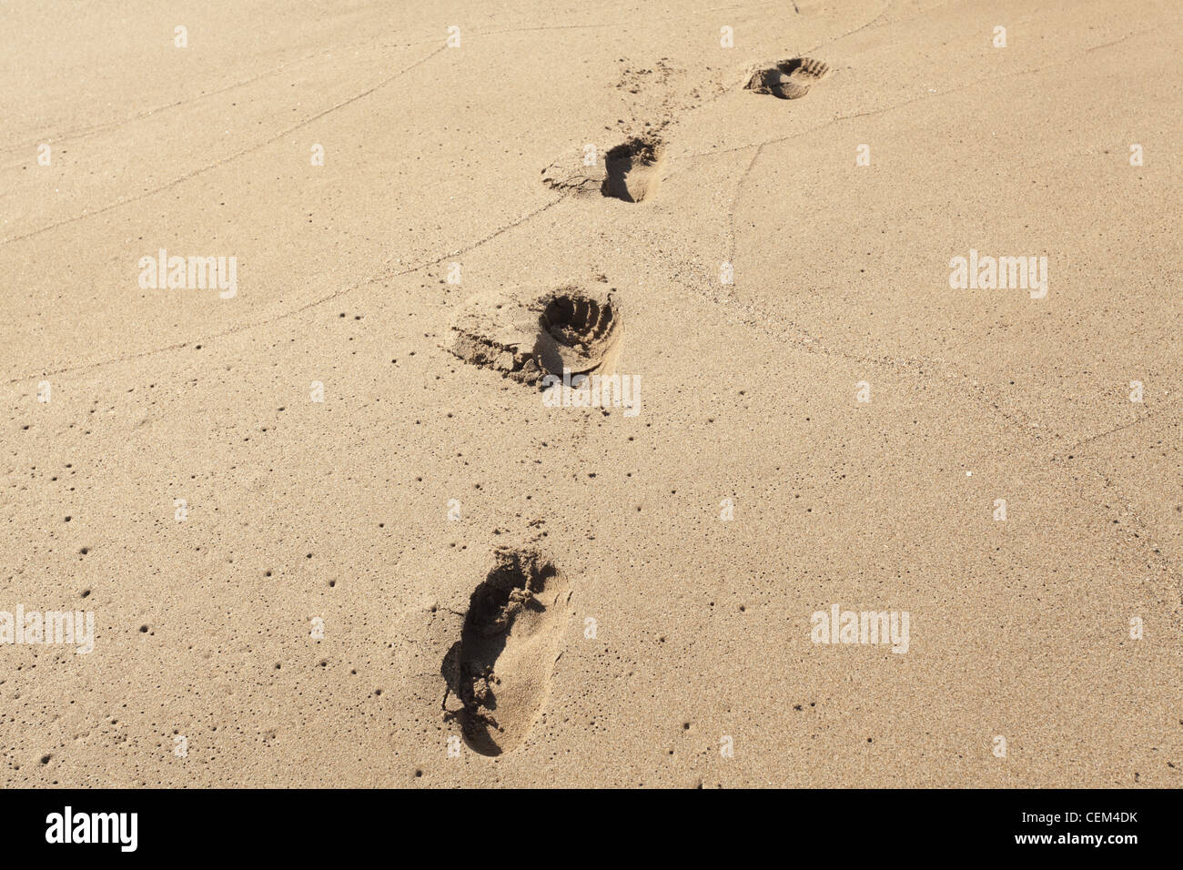 Footprints of people on the seashore Stock Photo - Alamy
