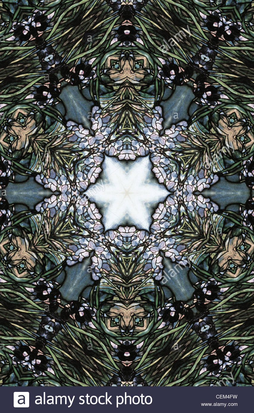 Stylized Symmetrical Flower Pattern High Resolution Stock Photography ...