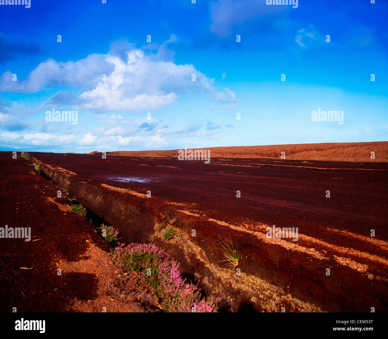 Turf Cutting, Blackwater Bog, Co Offaly, Ireland Stock Photo - Alamy