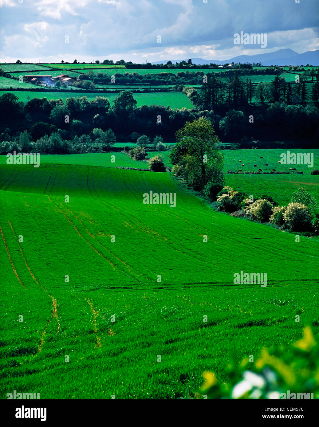 Pastoral image in ireland hi-res stock photography and images - Alamy
