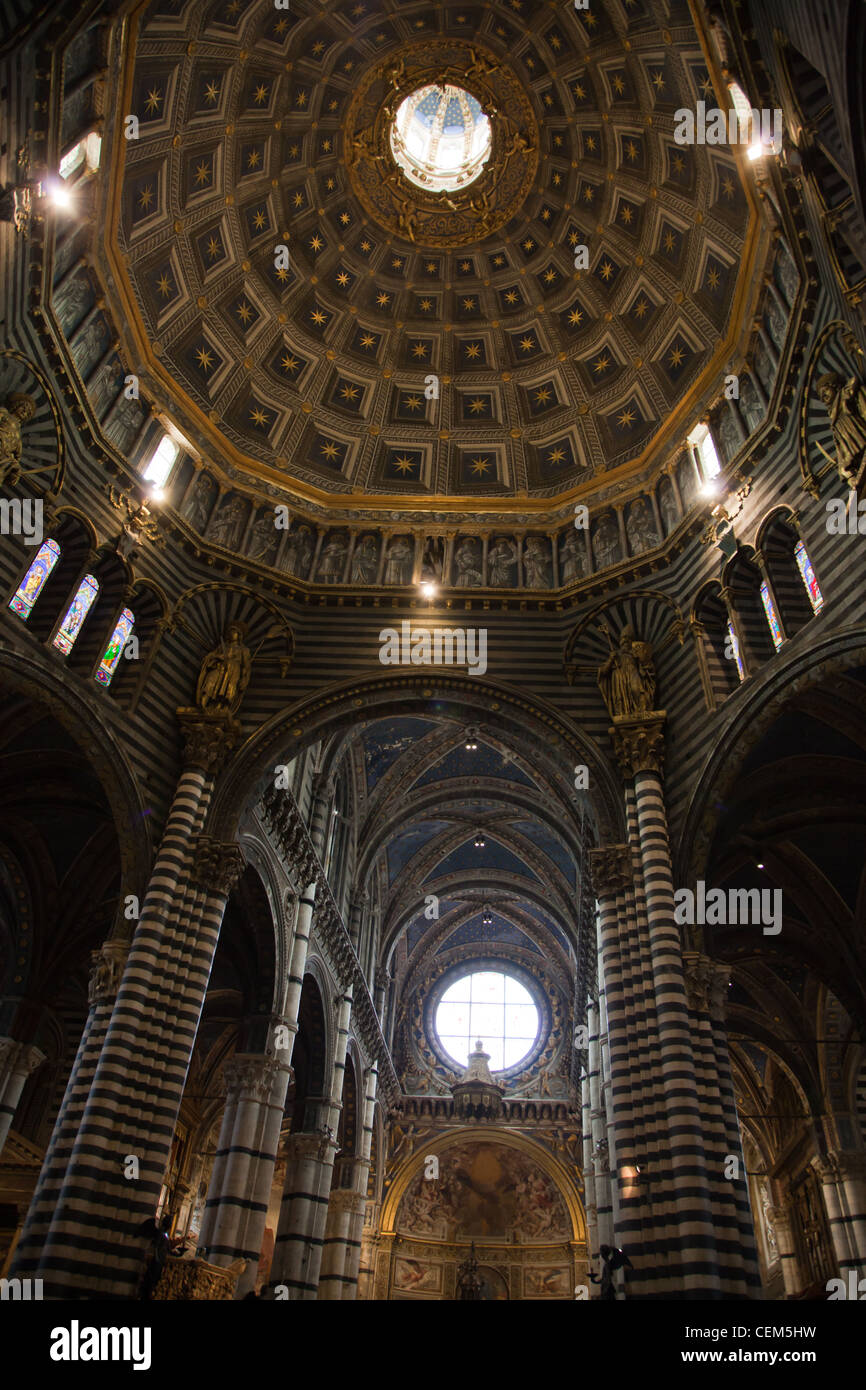 Siena cathedral interior dome hi-res stock photography and images - Alamy