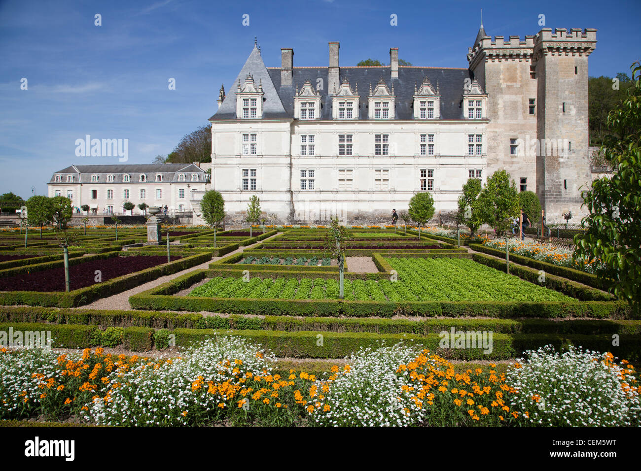 France, Loire Valley, Villandry Castle, The Vegetable Garden Stock ...