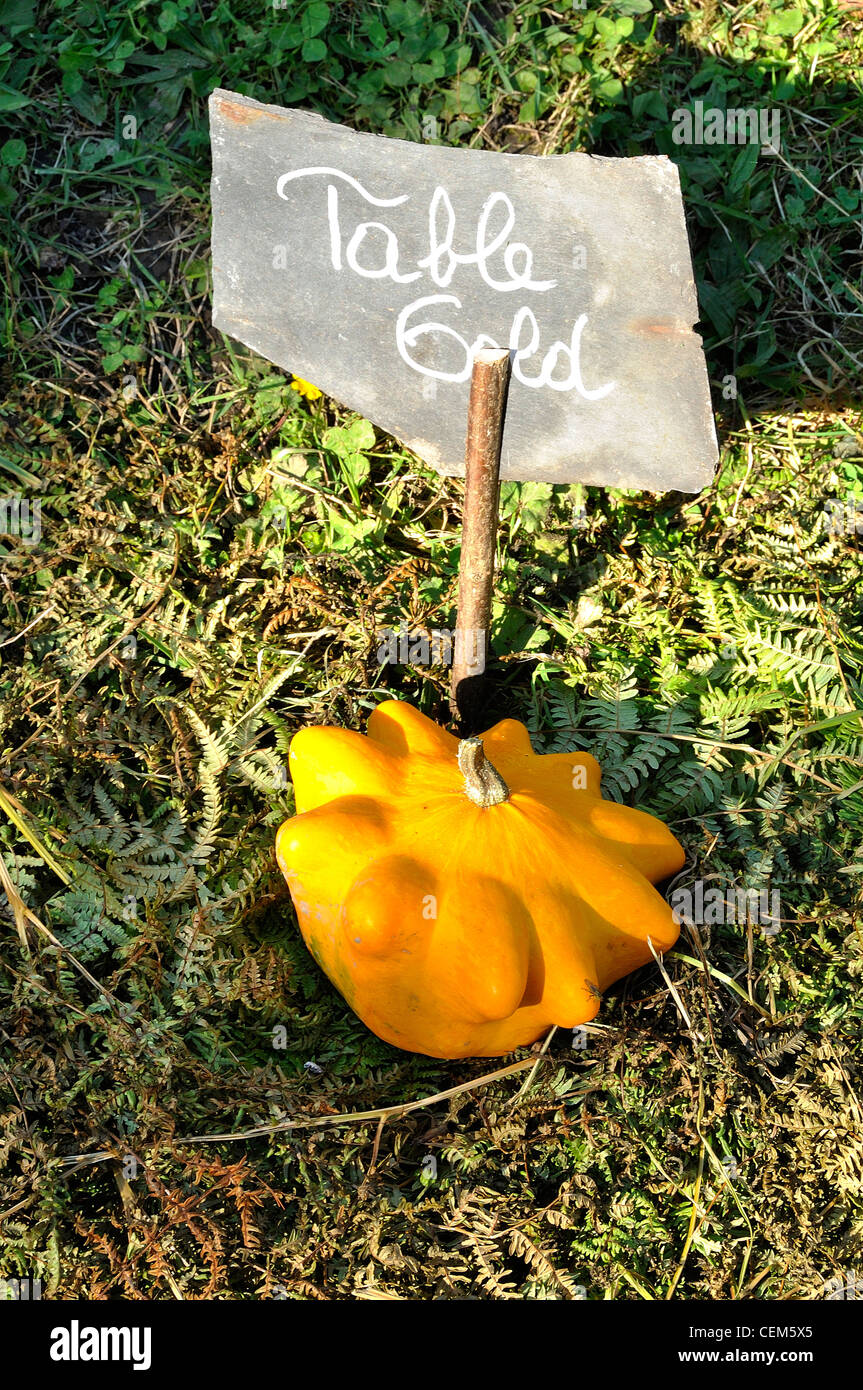 Gold squash hi-res stock photography and images - Alamy