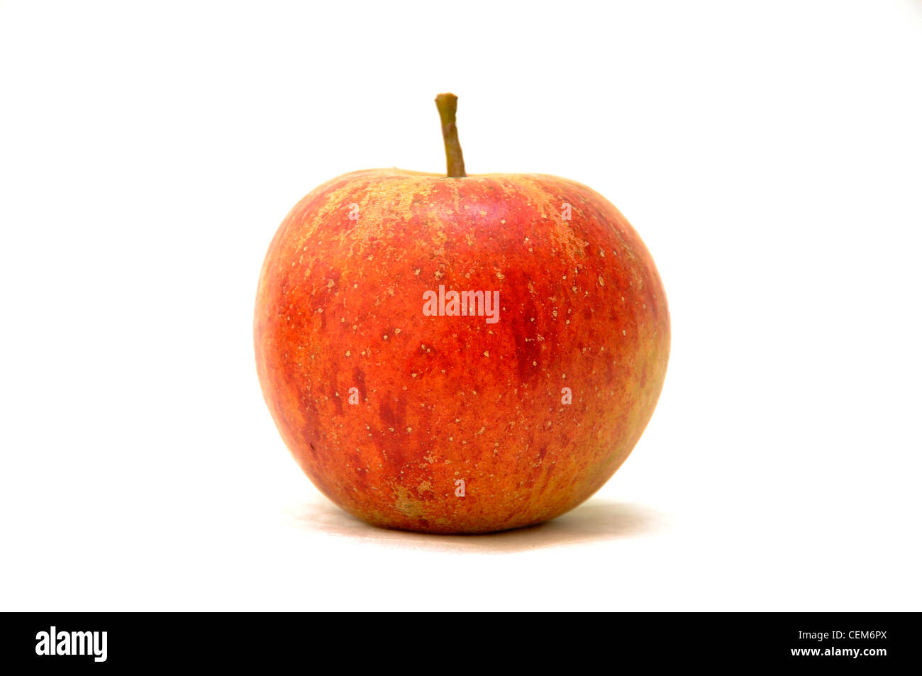 Melrose apple (Malus domestica Stock Photo - Alamy