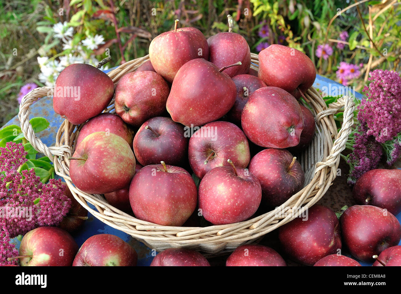 Starkinson hi-res stock photography and images - Alamy
