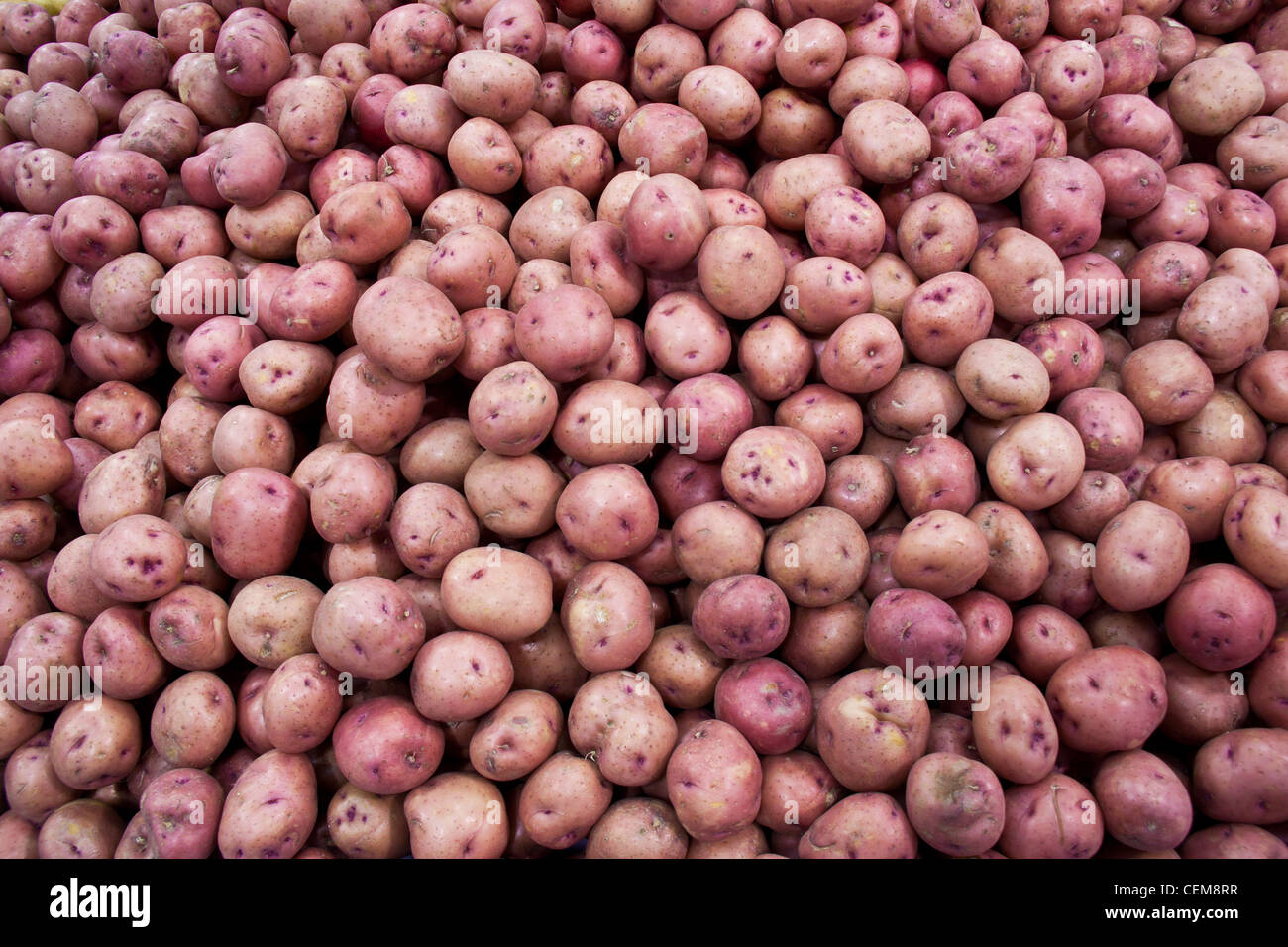 Red potatoes raw background Stock Photo - Alamy