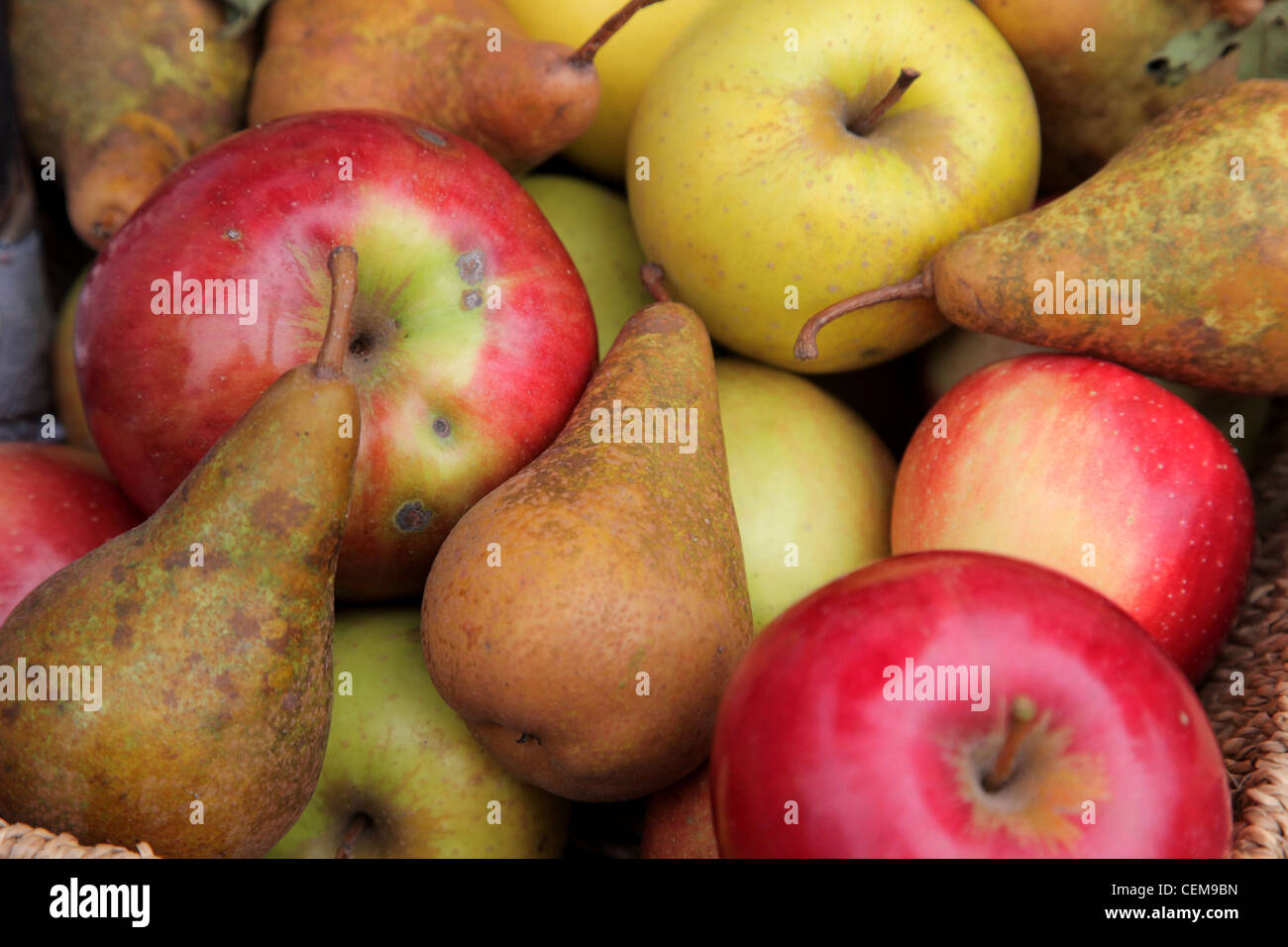 Pears came well hi-res stock photography and images - Alamy