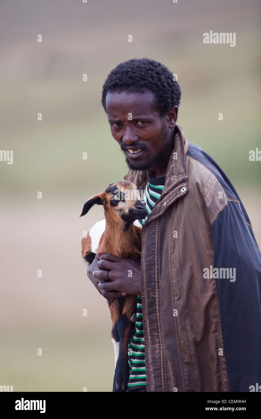 Ethiopian sheep hi-res stock photography and images - Alamy