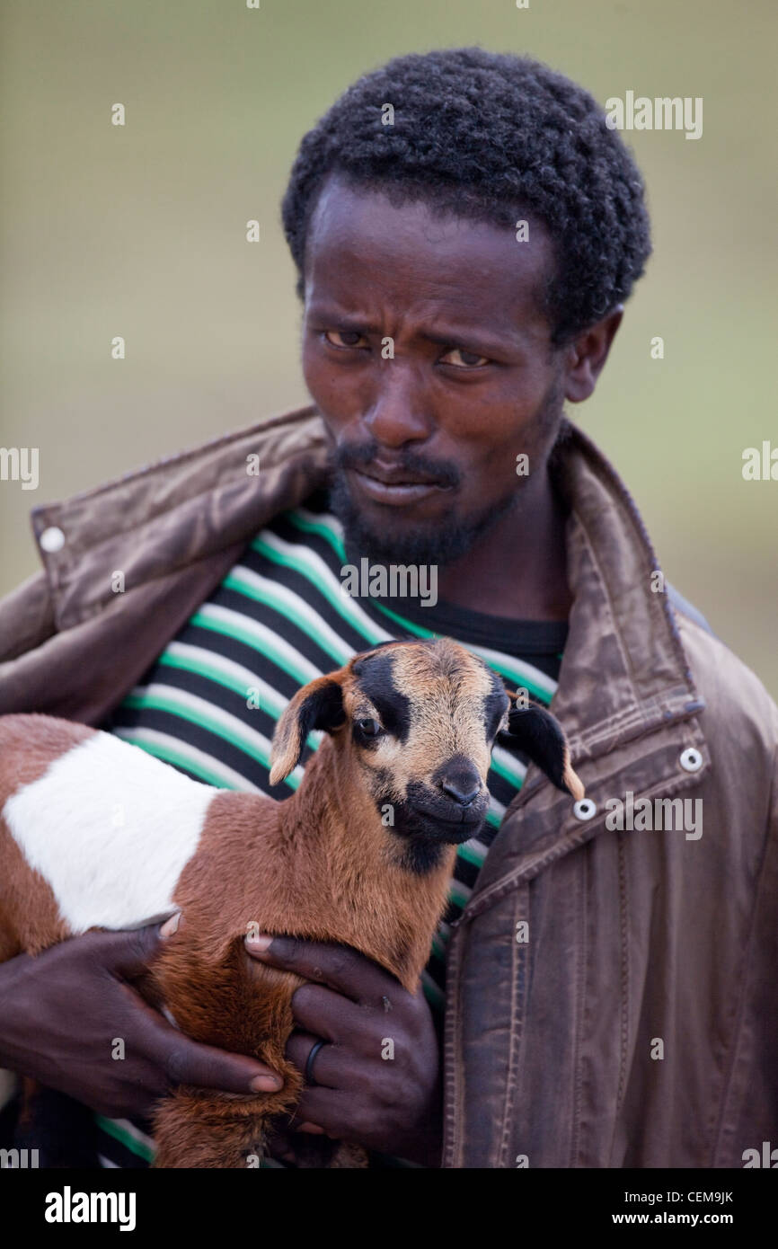 Ethiopian Shepherd carrying a newborn lamb. Bale Mountains, Ethiopia ...