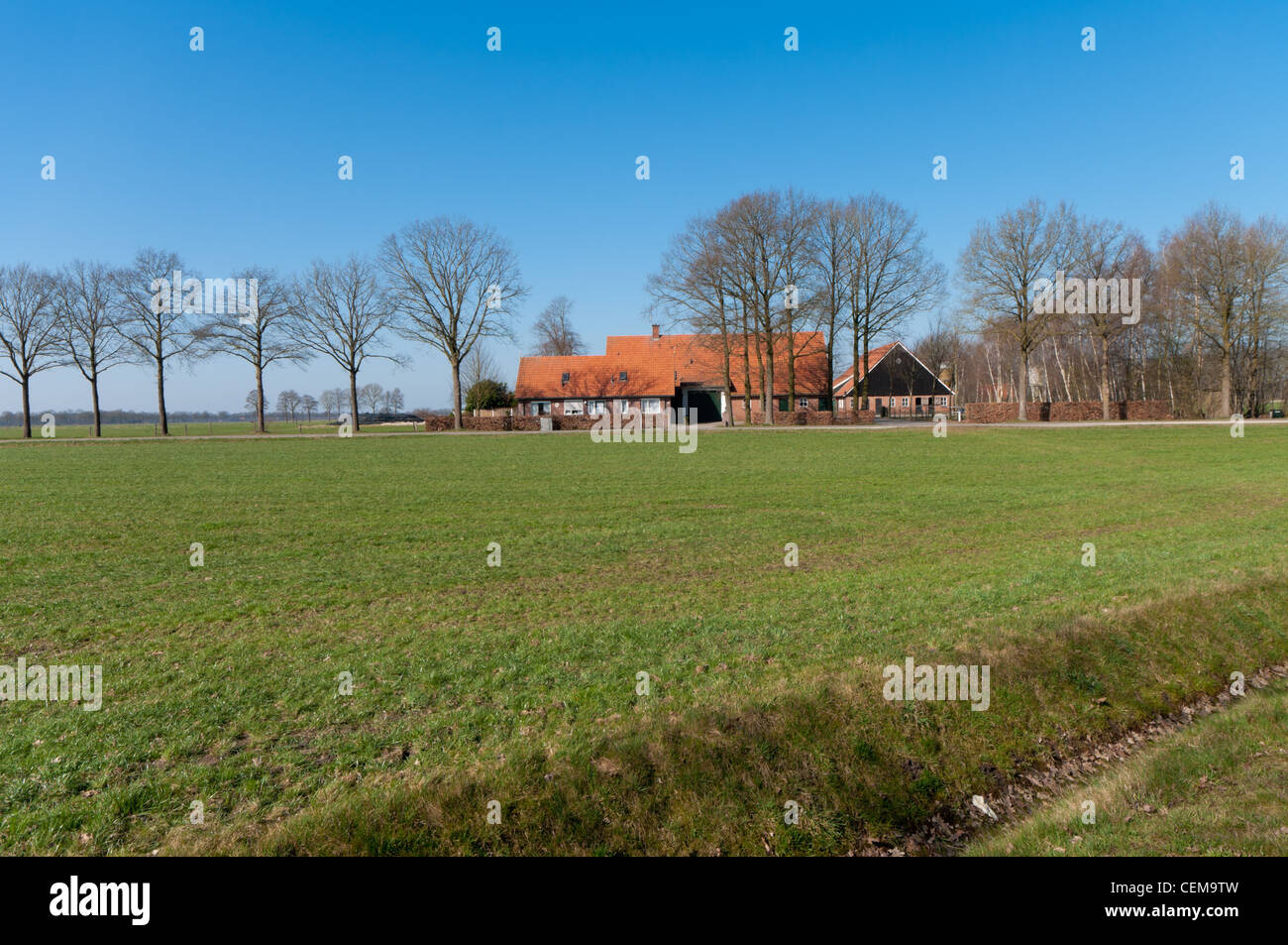 farmhouse in a typical dutch flat landscape Stock Photo - Alamy