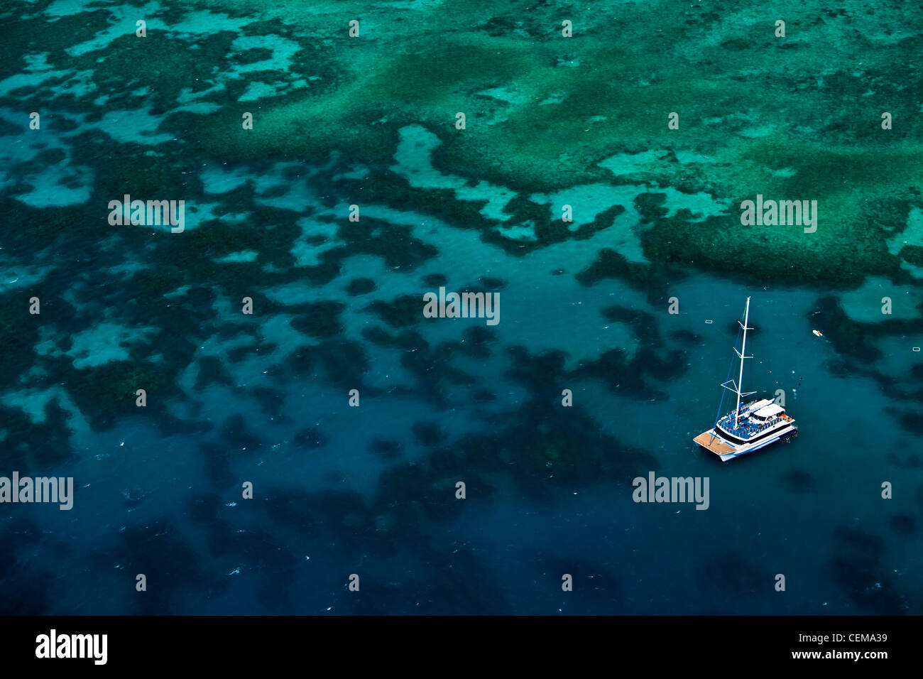Aerial view of tourist boat anchored at Arlington Reef, near Cairns ...