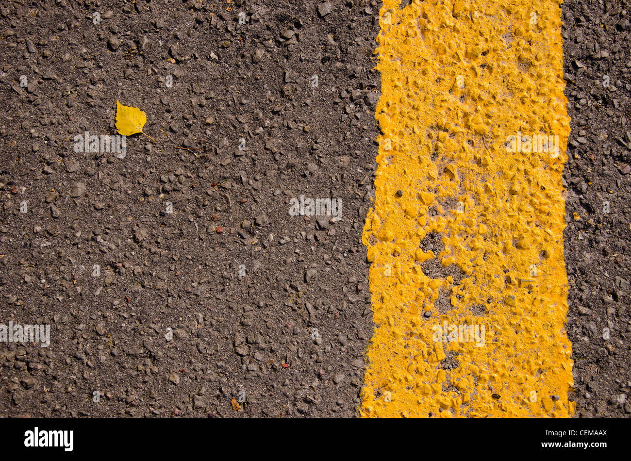 Asphalt closeup yellow line road markings and small birch leaf Stock ...