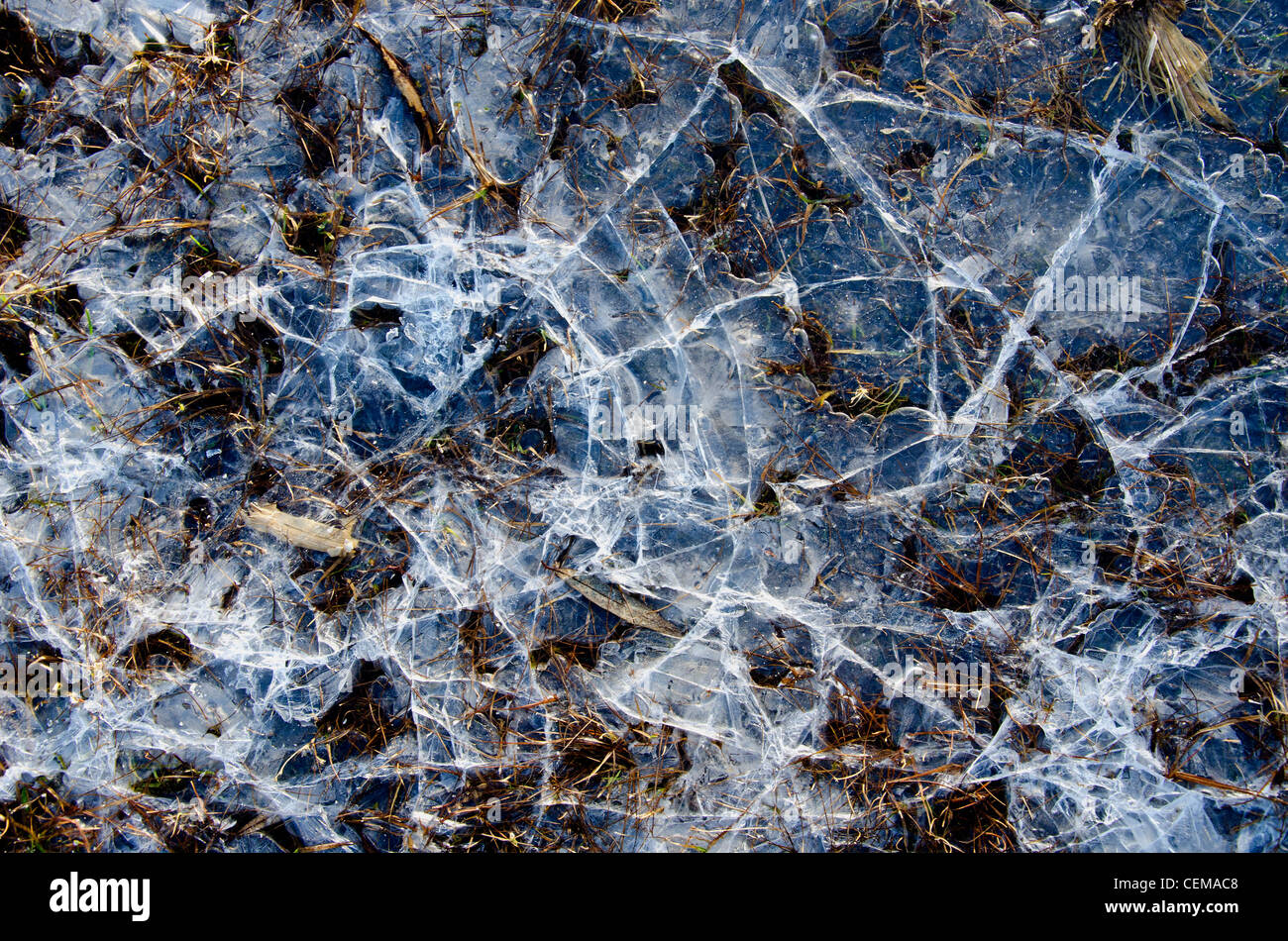 Cracked water ice on frozen bog. Closeup natural winter background ...