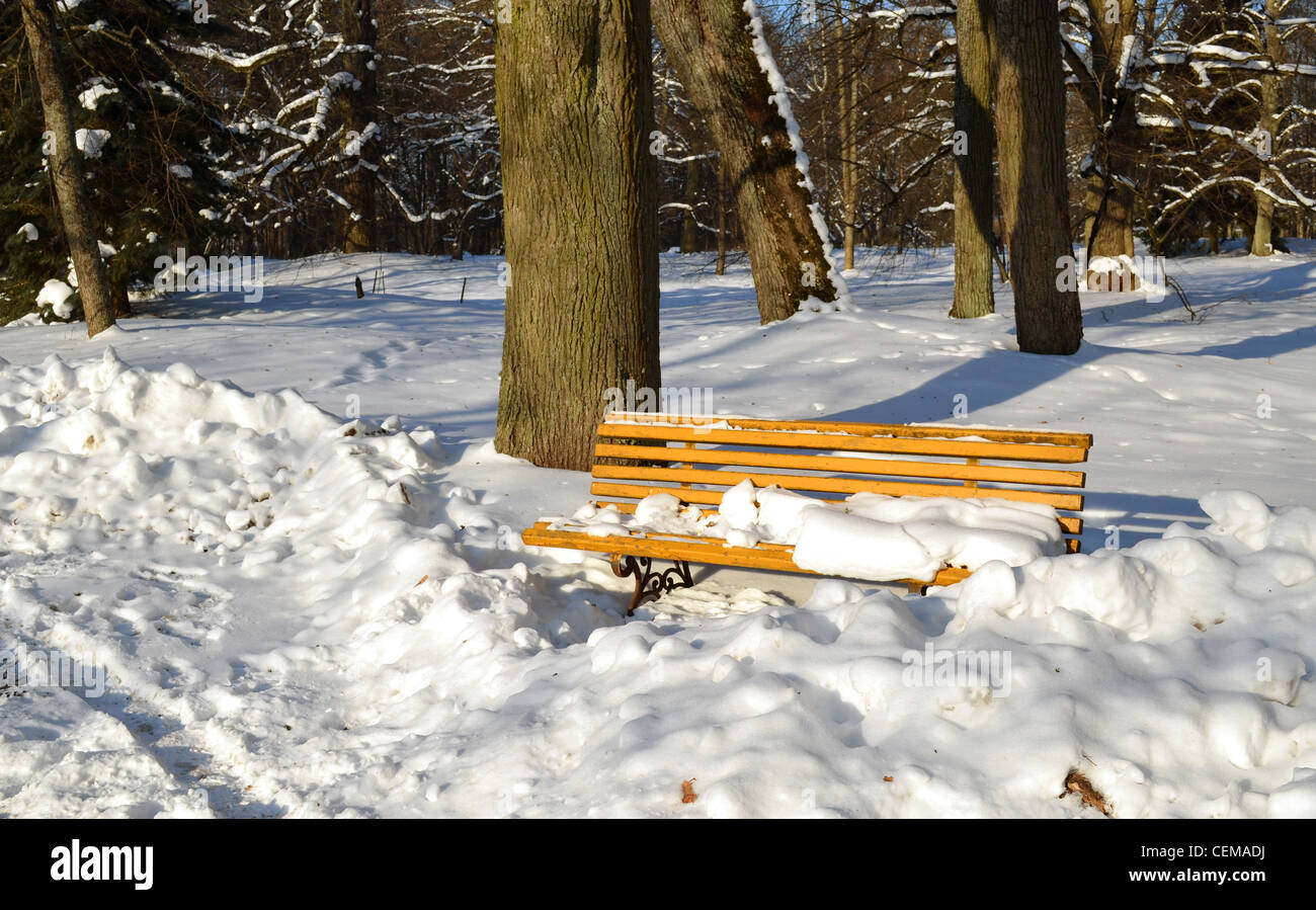 Yellow park bench covered with snow in winter. Tree trunks and large ...