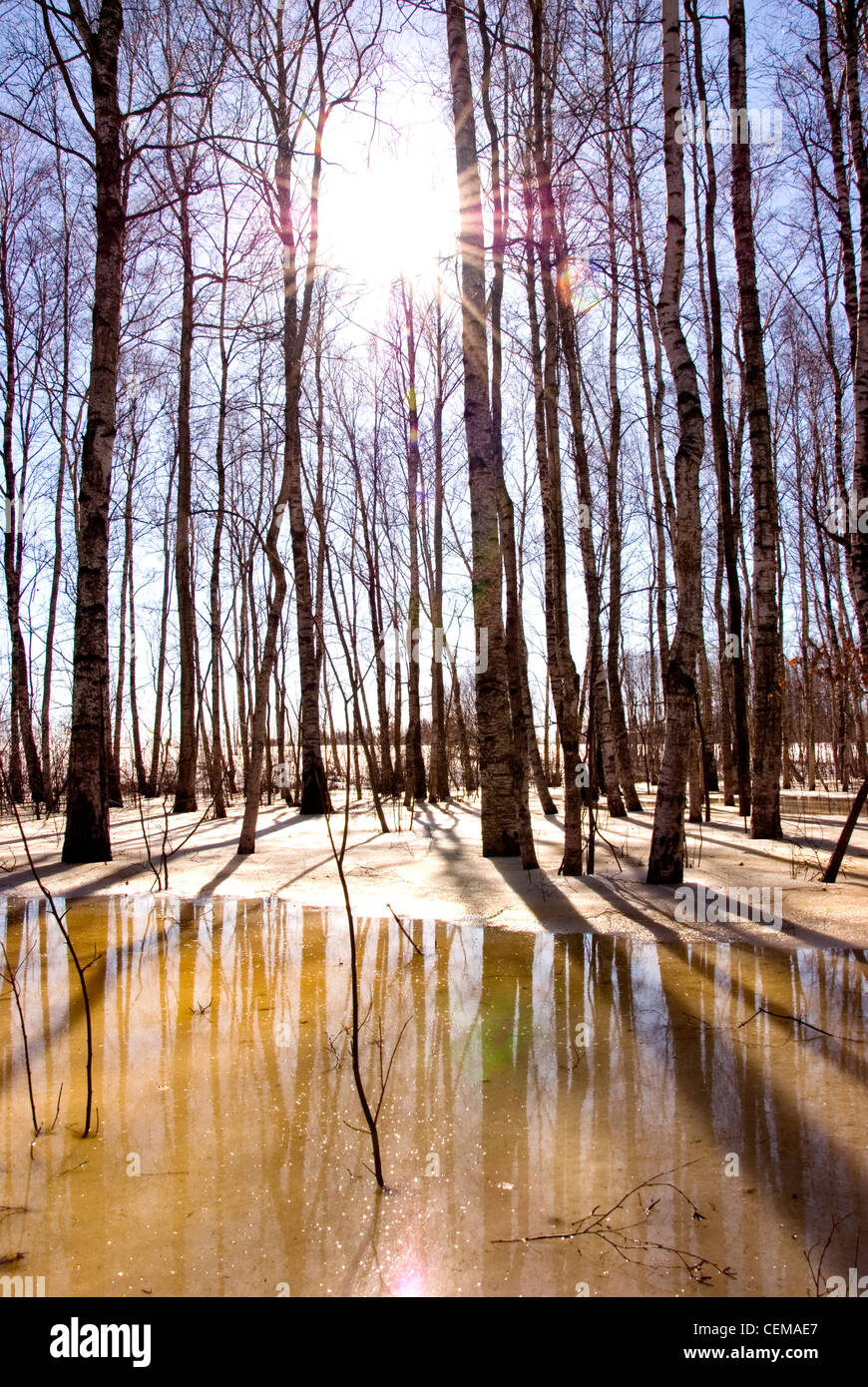 Melt spring black white hi-res stock photography and images - Alamy