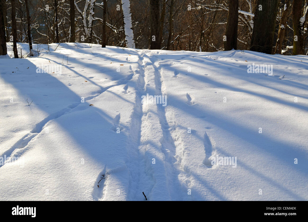 Ski marks left in snow hi-res stock photography and images - Alamy