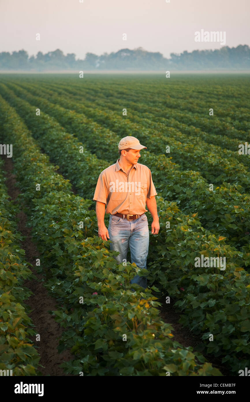 Farmer walk hi-res stock photography and images - Alamy