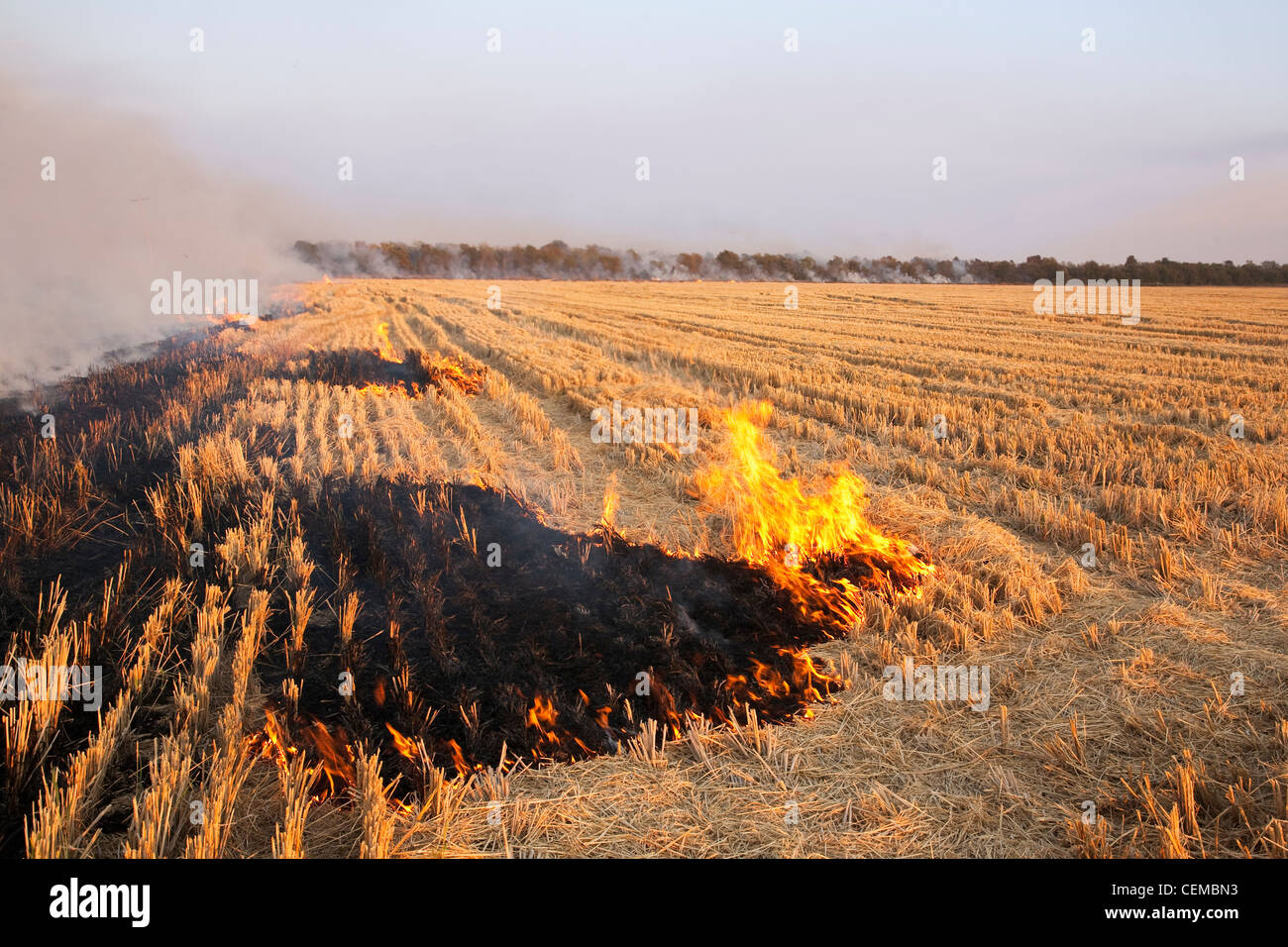 Burned crops hi-res stock photography and images - Alamy
