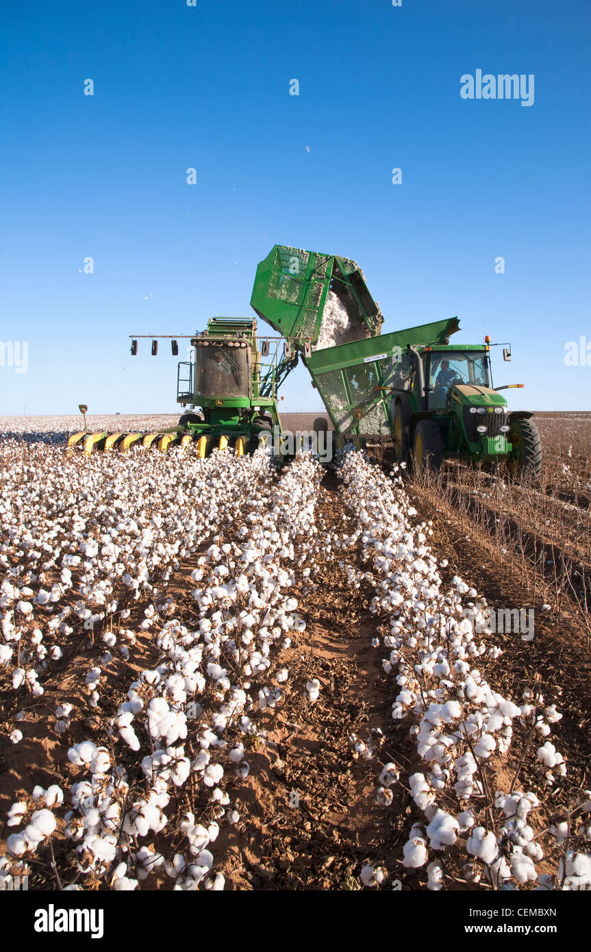 Cotton wagon hi-res stock photography and images - Alamy