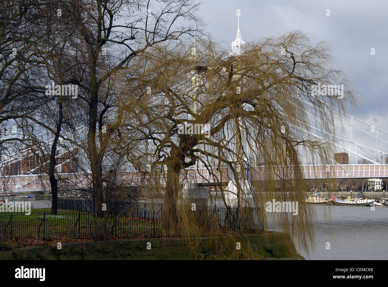 Prince Albert Bridge from Battersea Park Stock Photo - Alamy