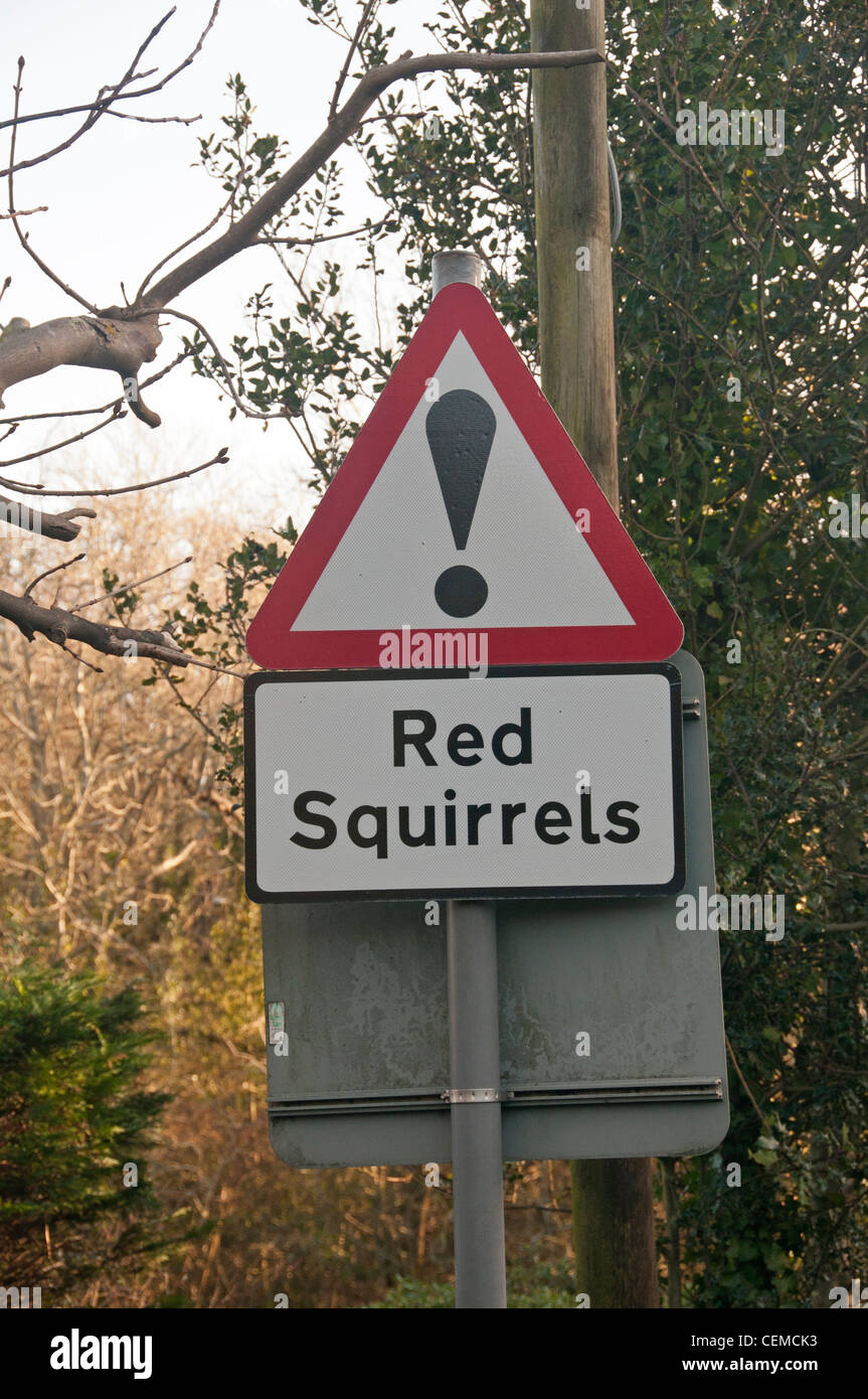 Squirrel road sign hi-res stock photography and images - Alamy