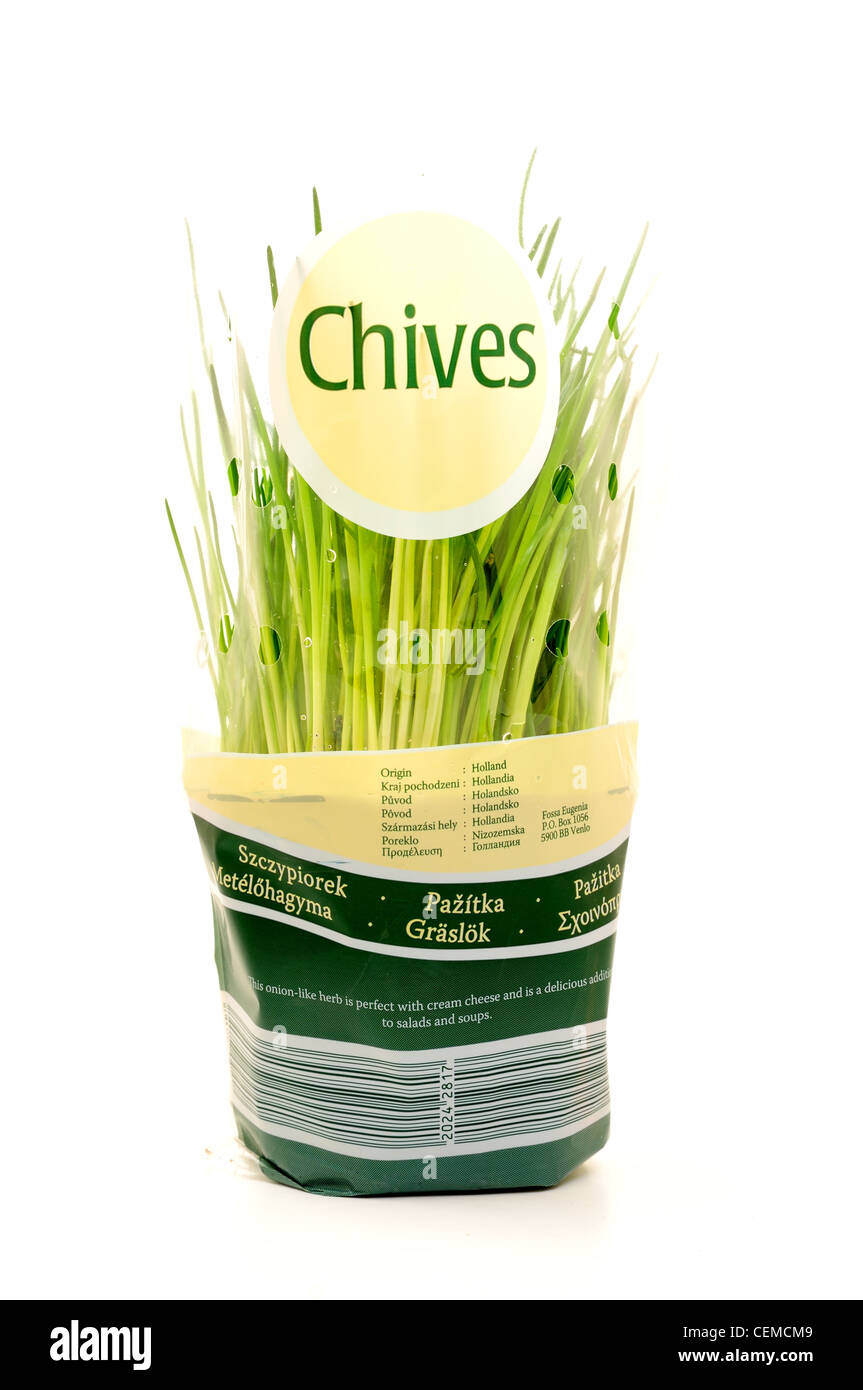 Chives bulbs allium schoenoprasum hi-res stock photography and images ...