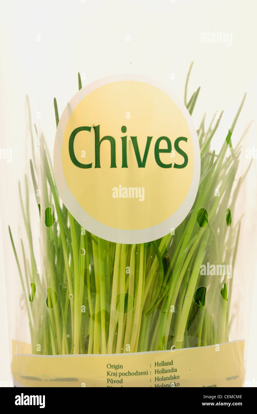 Chives bulbs allium schoenoprasum hi-res stock photography and images ...