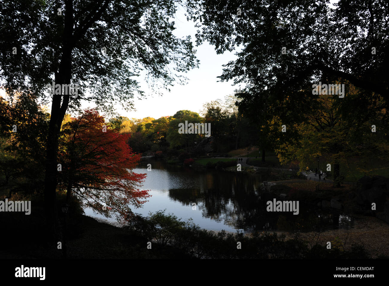 Autumn trees shade view through lakeside trees red Japanese Maple ...