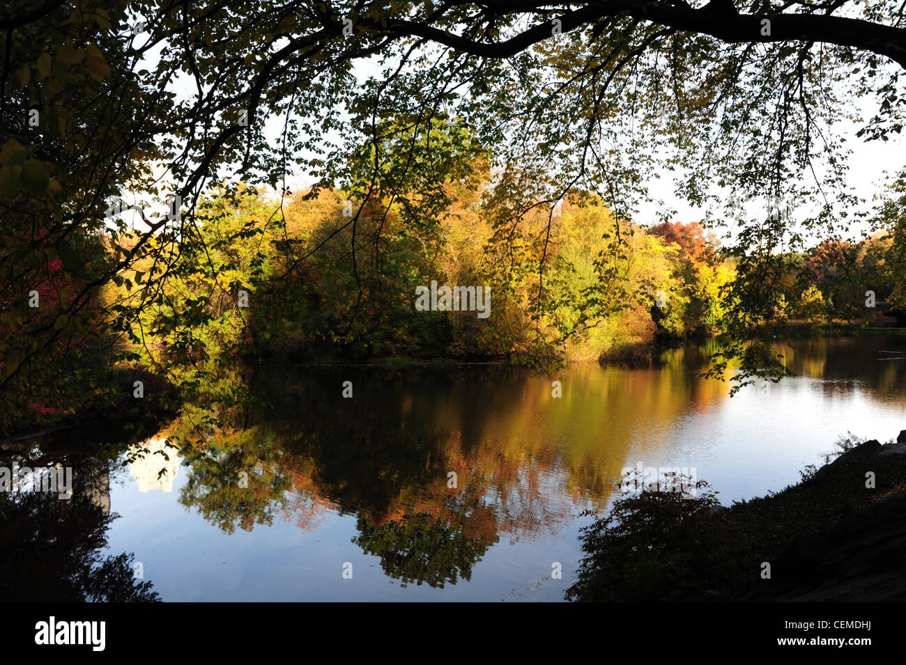 Overhanging trees silhouette hi-res stock photography and images - Alamy