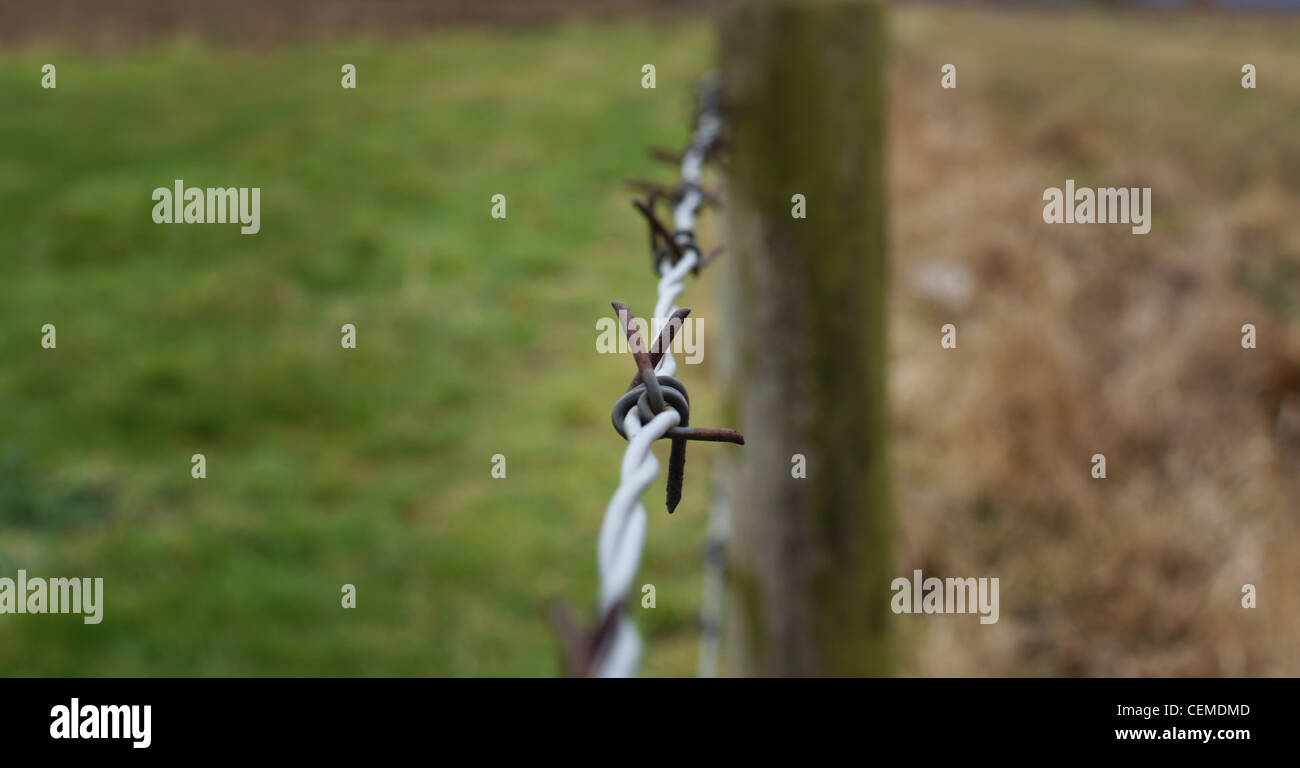Closeup of barbed wire fence Stock Photo - Alamy