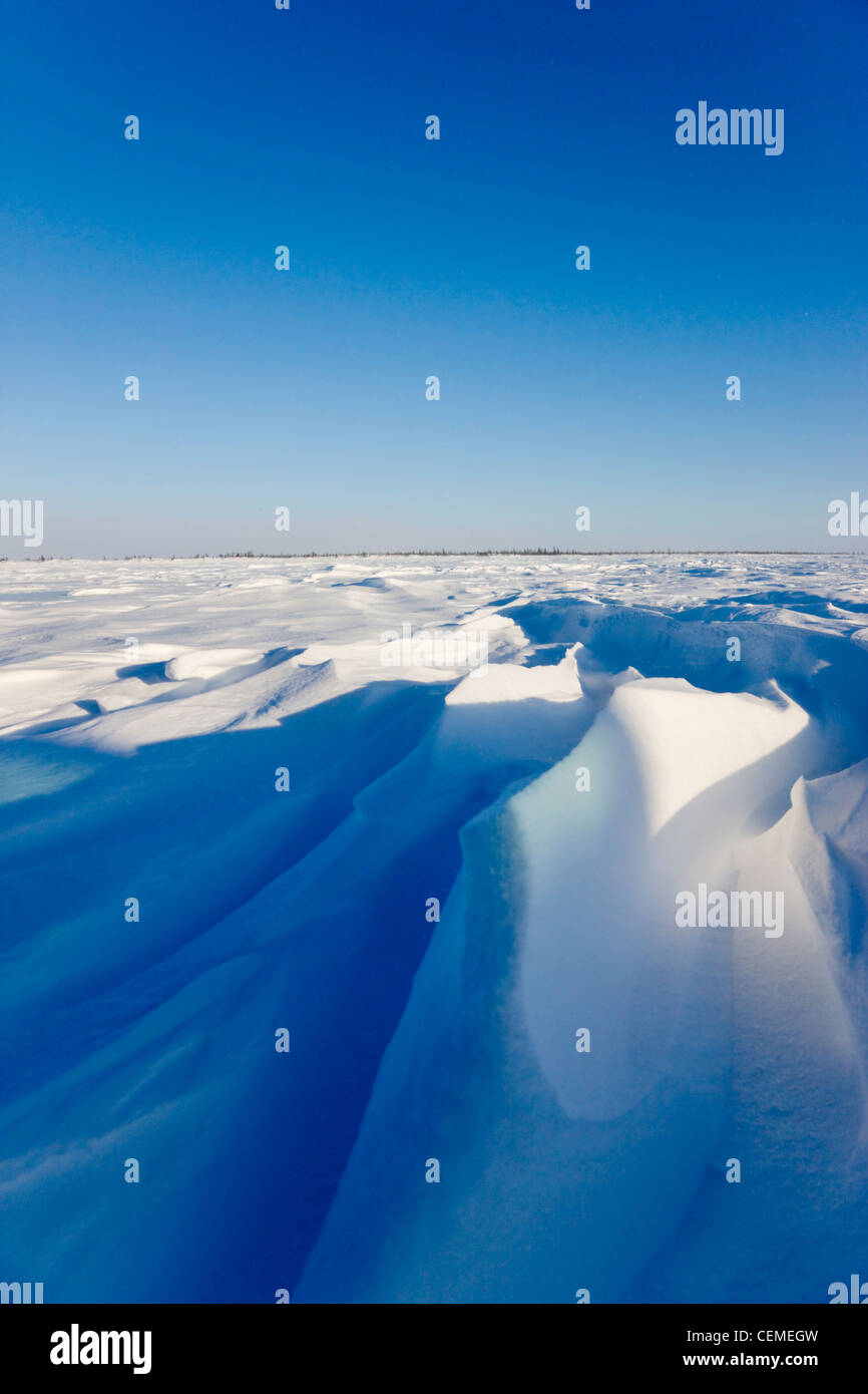 Tundra canada hi-res stock photography and images - Alamy