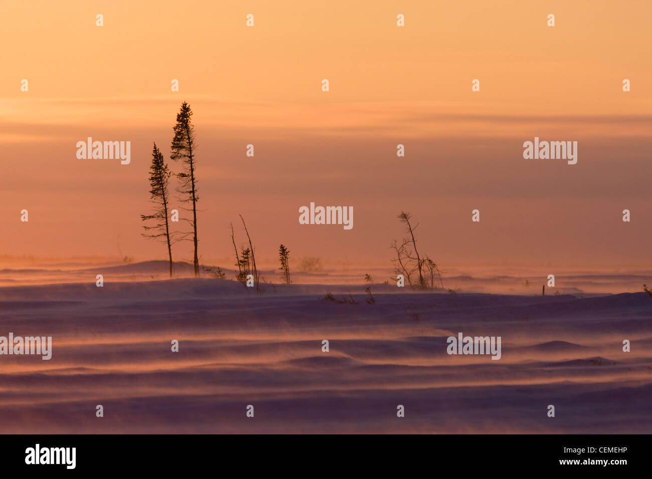 Tundra landscape canada hi-res stock photography and images - Alamy