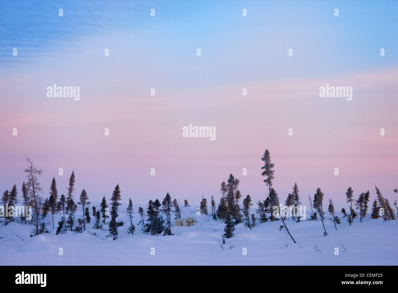 Tundra canada hi-res stock photography and images - Alamy