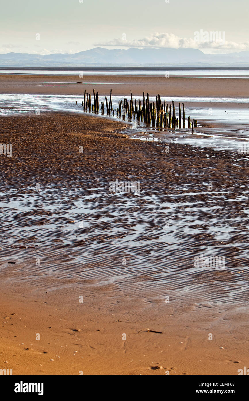 Solway estuary hi-res stock photography and images - Alamy