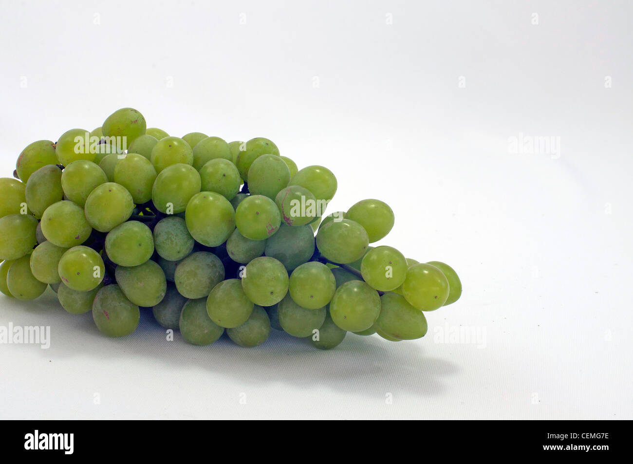 Large grapes hi-res stock photography and images - Alamy