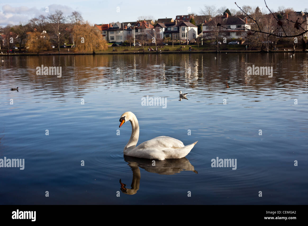 Roath family hi-res stock photography and images - Alamy
