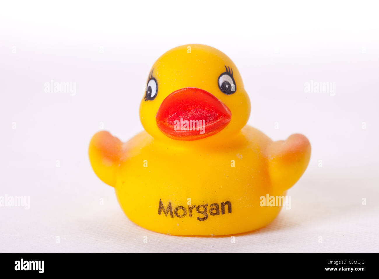 morgan the yellow rubber duck Stock Photo - Alamy