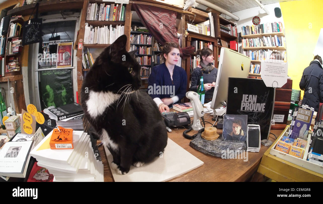 Spoonbill & Sugartown Bookstore, with bookstore cat, Brooklyn, New York ...