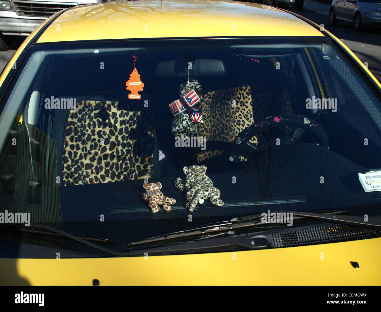 Leopard spot patterns in automobile, Brooklyn, New York Stock Photo - Alamy