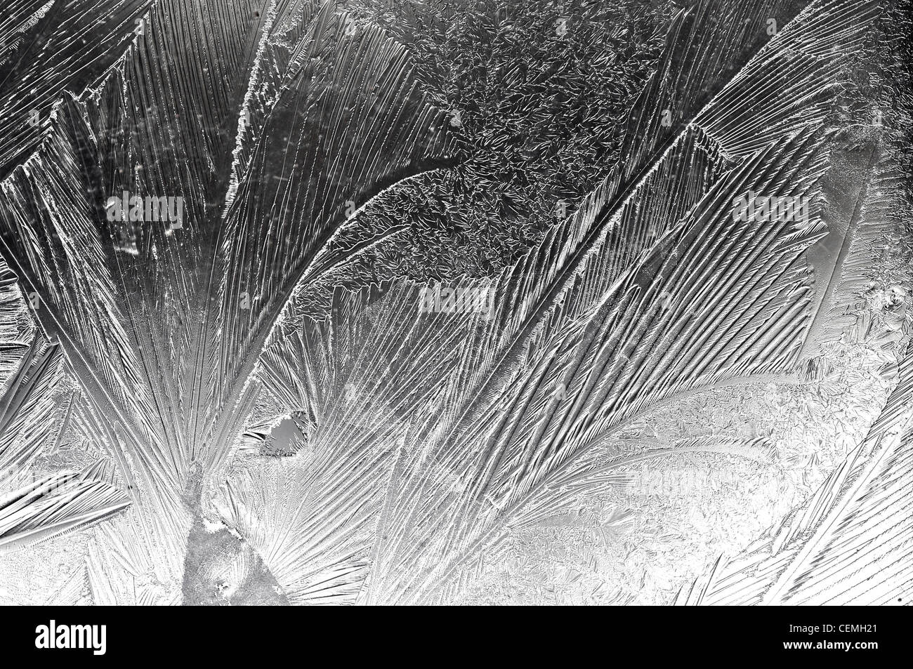 Beautiful frost pattern on a window Stock Photo - Alamy