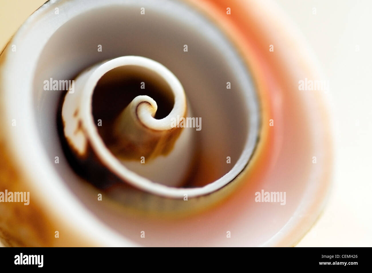 Cut open hi-res stock photography and images - Alamy