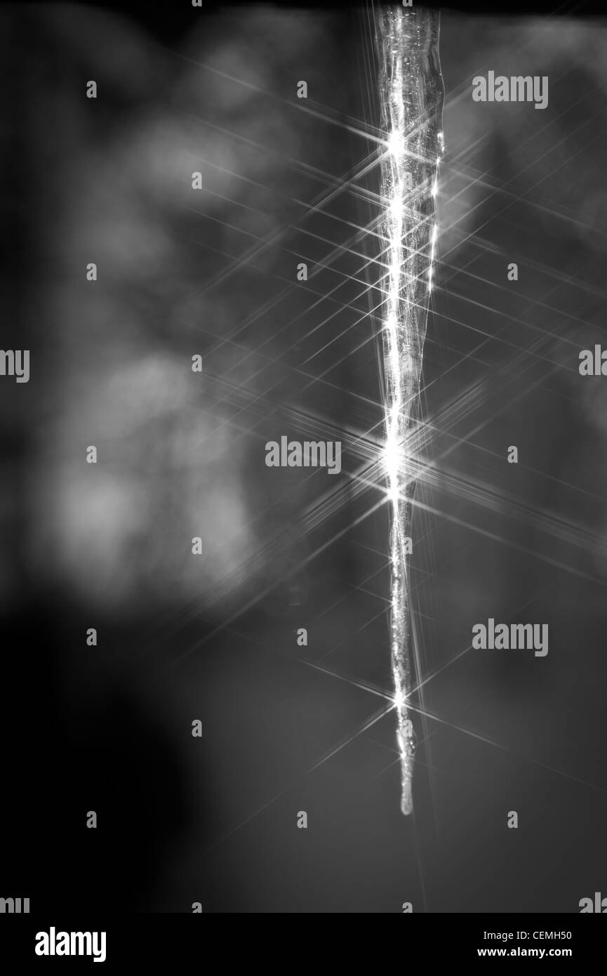 Icycle hi-res stock photography and images - Alamy