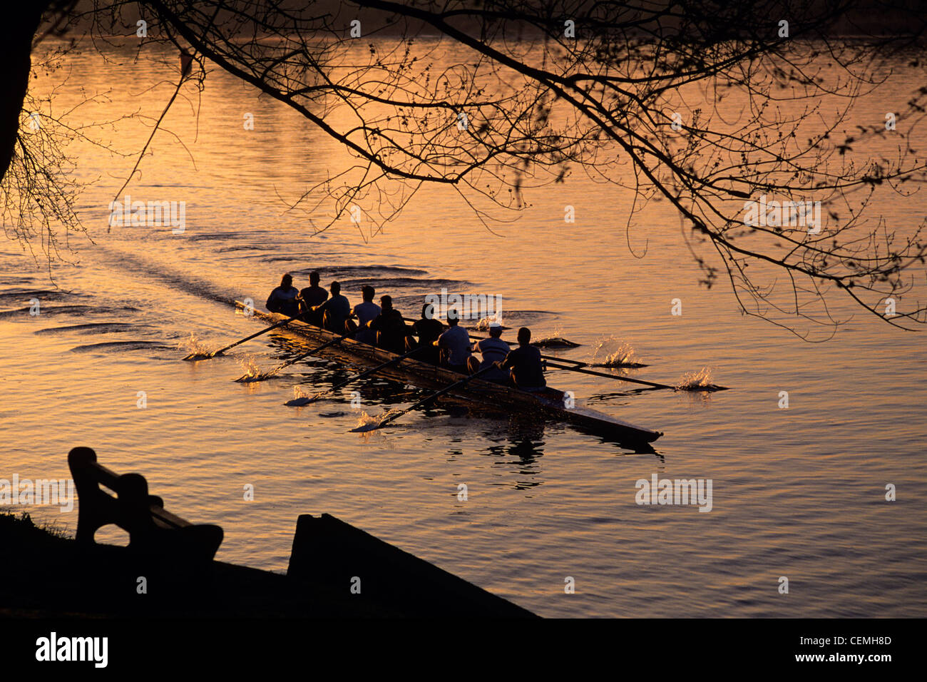 Eight man crew rowing along Montlake Cut near the University of ...