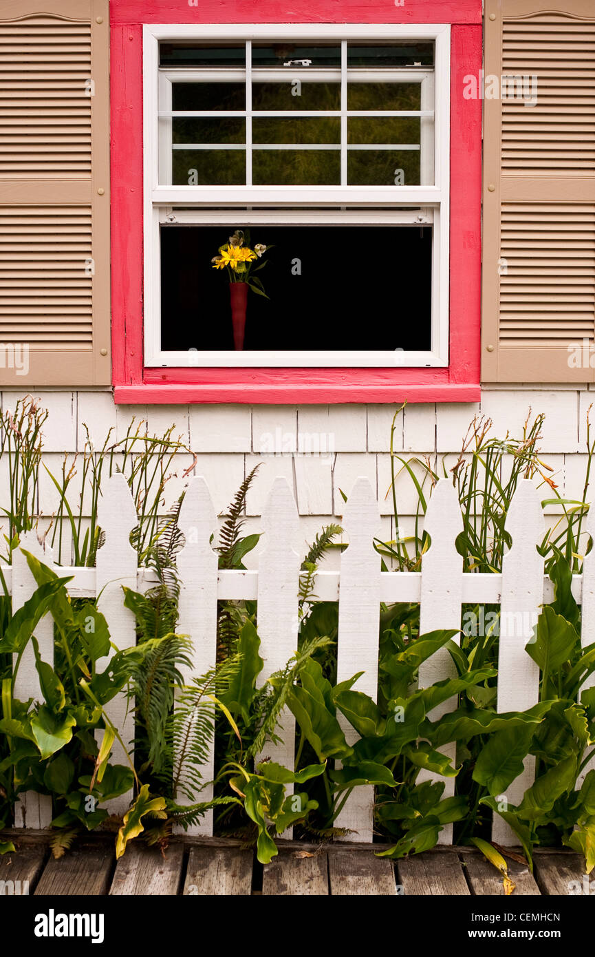 Open window with yellow and green flowers in vase with window shutters ...